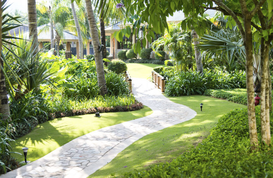 30 Spectacular Backyard Palm Tree Ideas Home Stratosphere 30 Spectacular Backyard Palm Tree Ideas Home Stratosphere