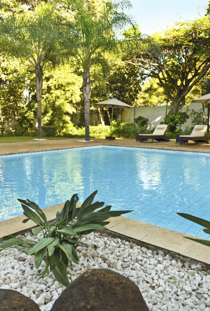 30 Spectacular Backyard Palm Tree Ideas Home Stratosphere