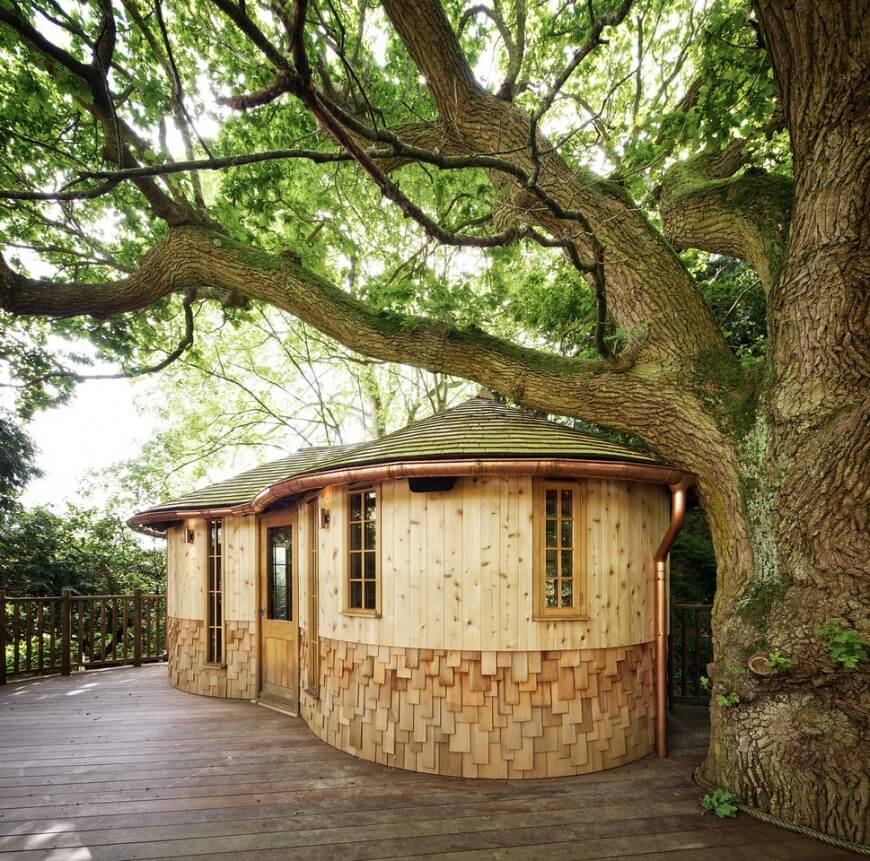 Whimsical Tree House Design for Adults (This is an Actual Home)
