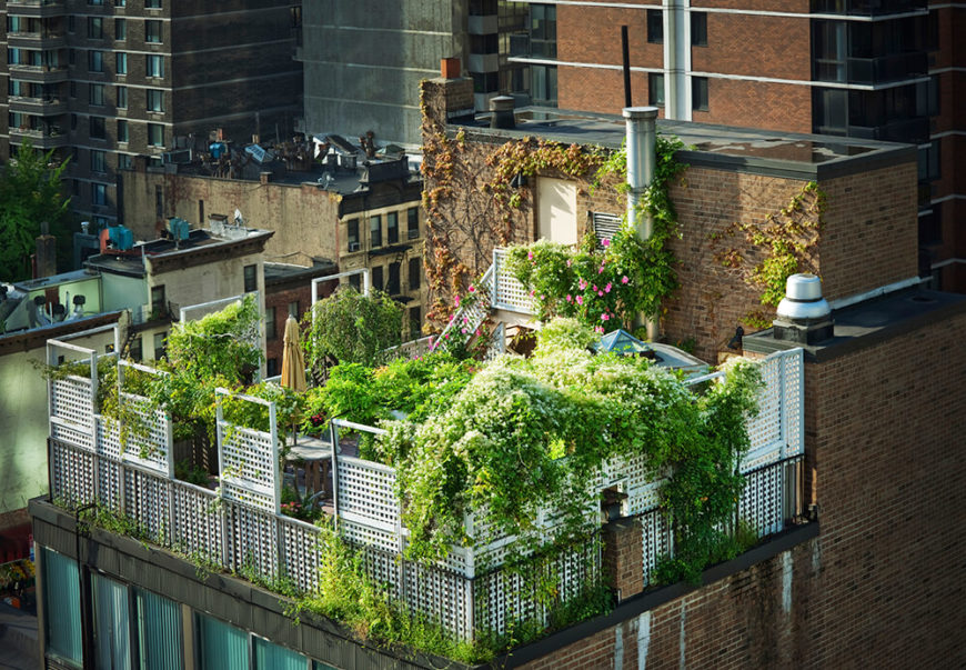 25 Amazing Buildings with Green Roof Designs (PICTURES)