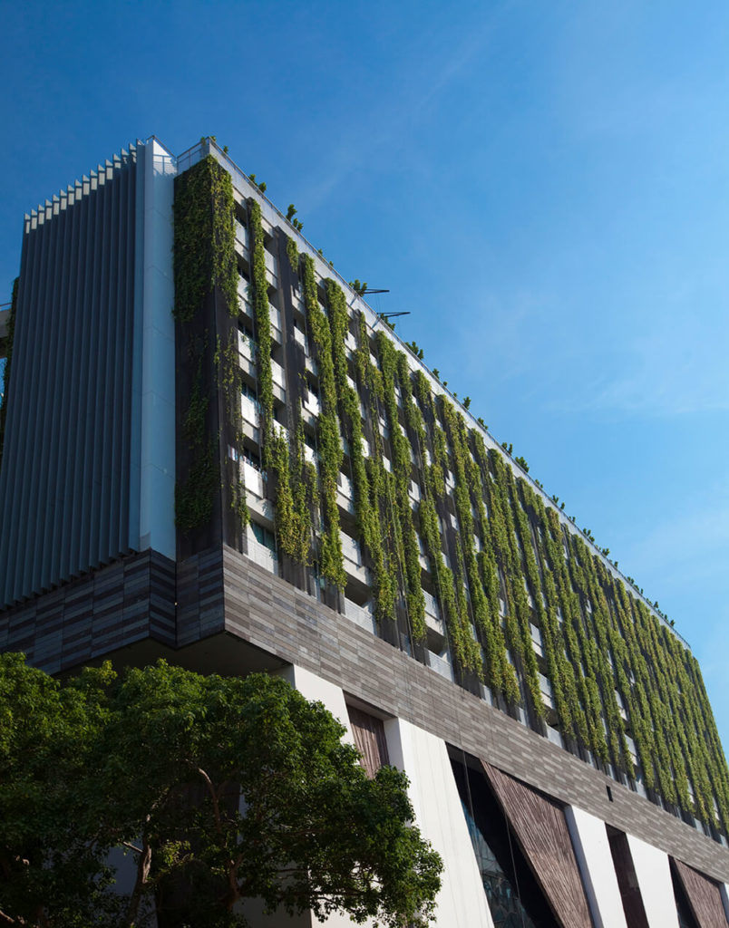 25 Amazing Buildings with Green Roof Designs (PICTURES)