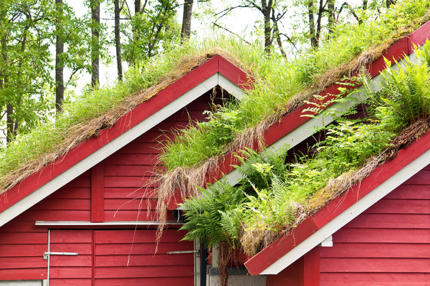 25 Amazing Buildings with Green Roof Designs (PICTURES)