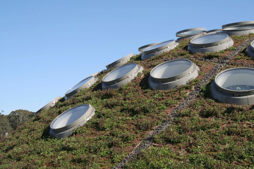 25 Amazing Buildings with Green Roof Designs (PICTURES)