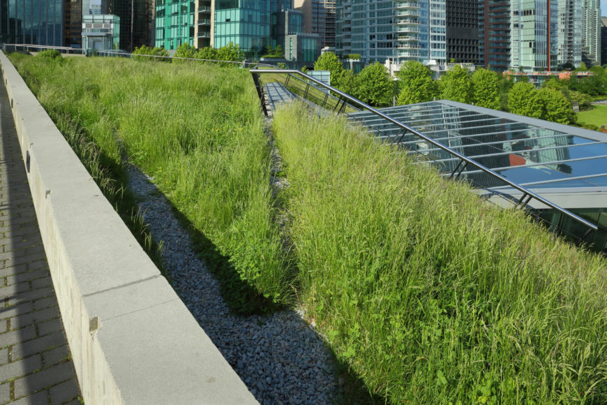 25 Amazing Buildings with Green Roof Designs (PICTURES)
